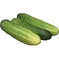 Amazon.in Bestsellers: The most popular items in Grocery & Gourmet Foods