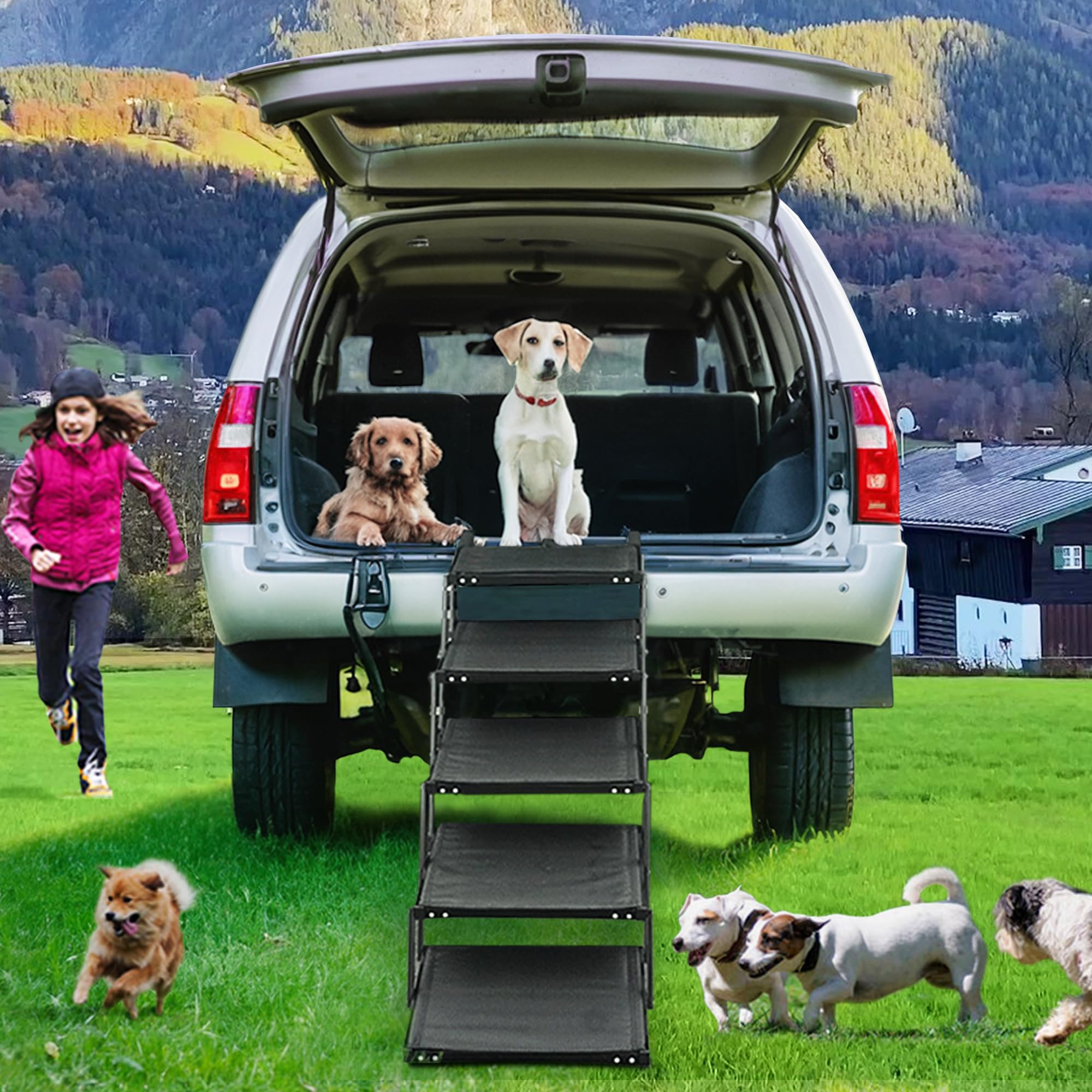 Maxpama New Upgraded 5-Step Folding Dog Car Ramp for Large Dogs, Iron ...