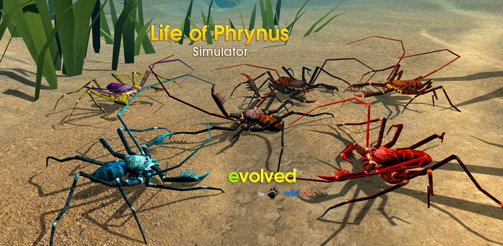 Amazon.com: Life of Phrynus - Whip Spider: Appstore for Android