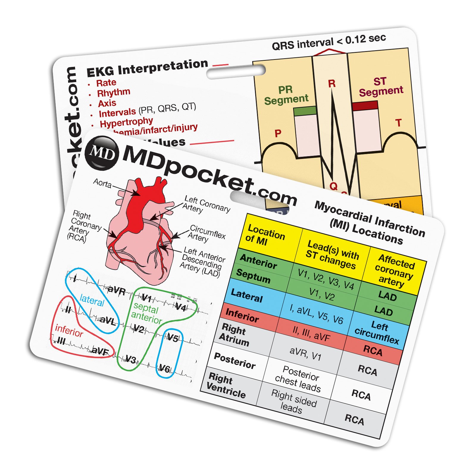 Amazon.com: STEMI 12 Lead Tool Horizontal Reference Badge ID Card (1 ...