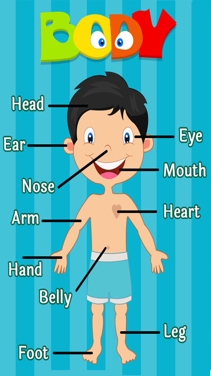 Body Parts Identification