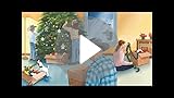 Charlie and the Christmas Kitty (Charlie the Ranch Dog): Ree Drummond ...