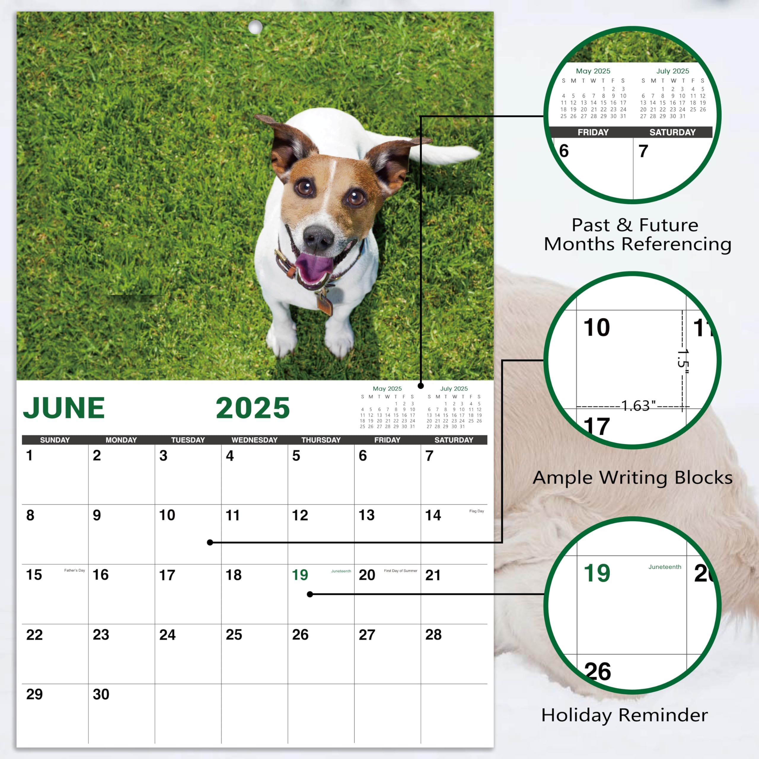 Mua 2025 Calendar - Gag Gifts, Pooping Dogs Calendar 2025, Jan. 2025 ...