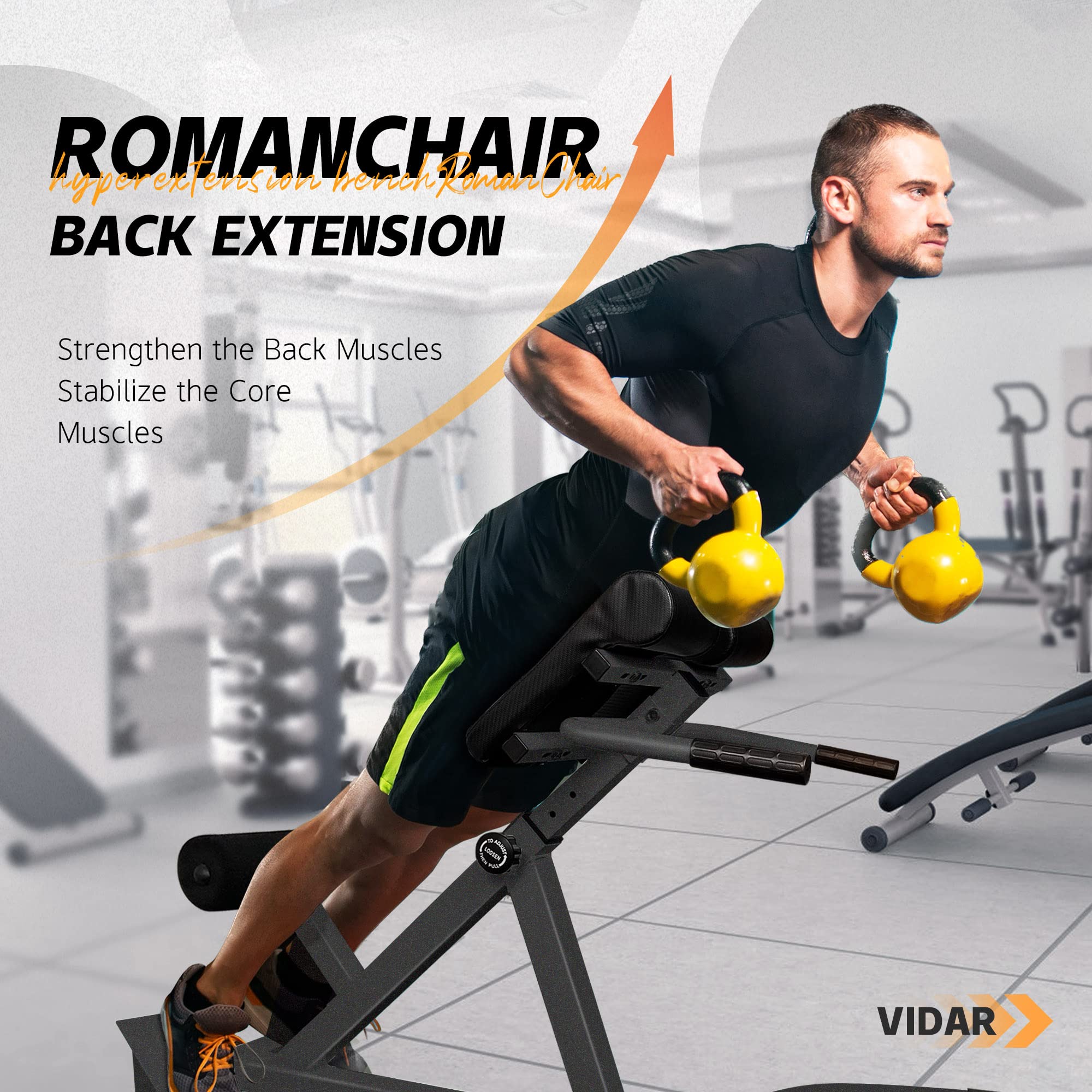 Mua VIDAR Roman Chair Back Extension Machine - Lower Back ...