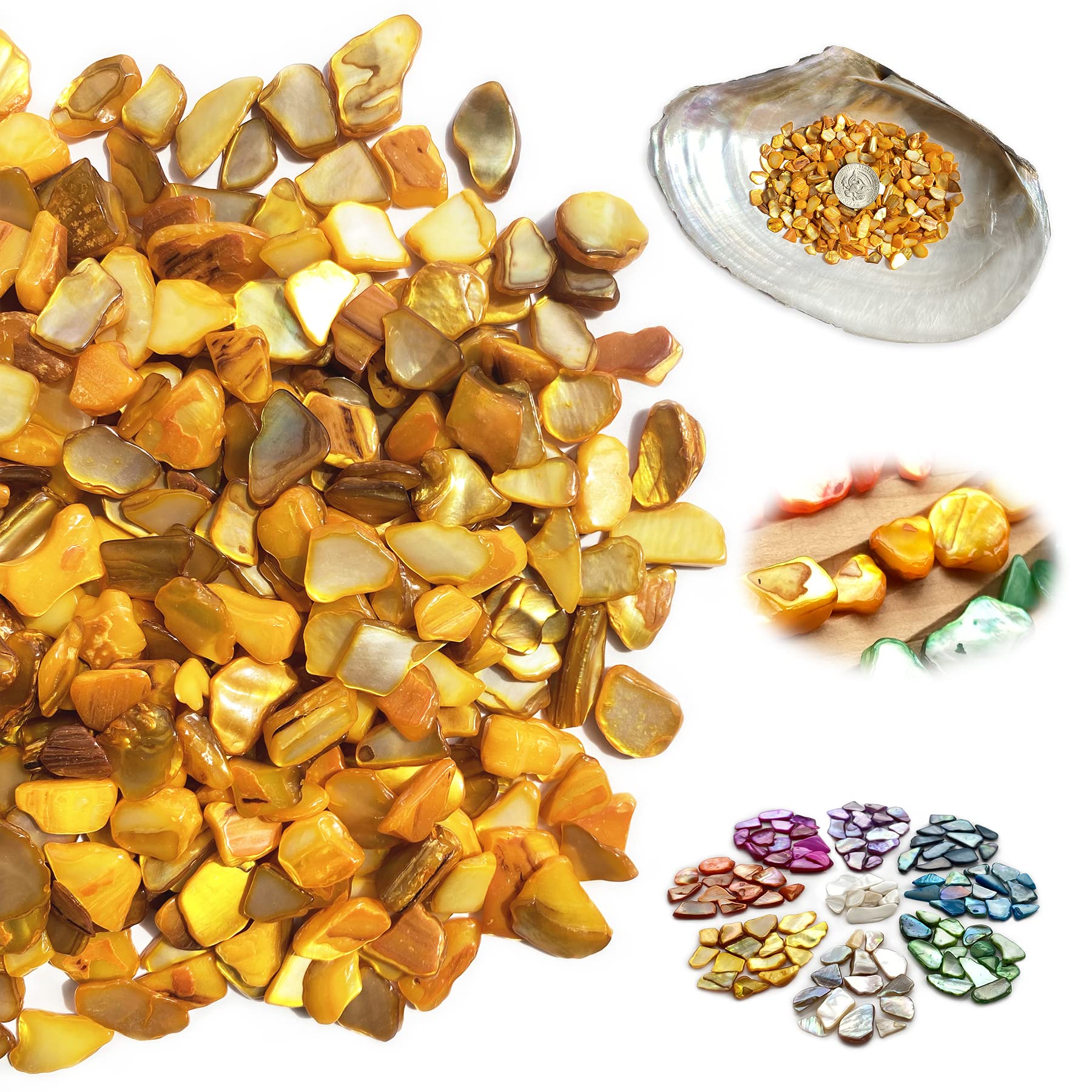 Yew & Tulip Nature Crushed Shells Chips, 32 oz (2 lb) Various Shapes ...