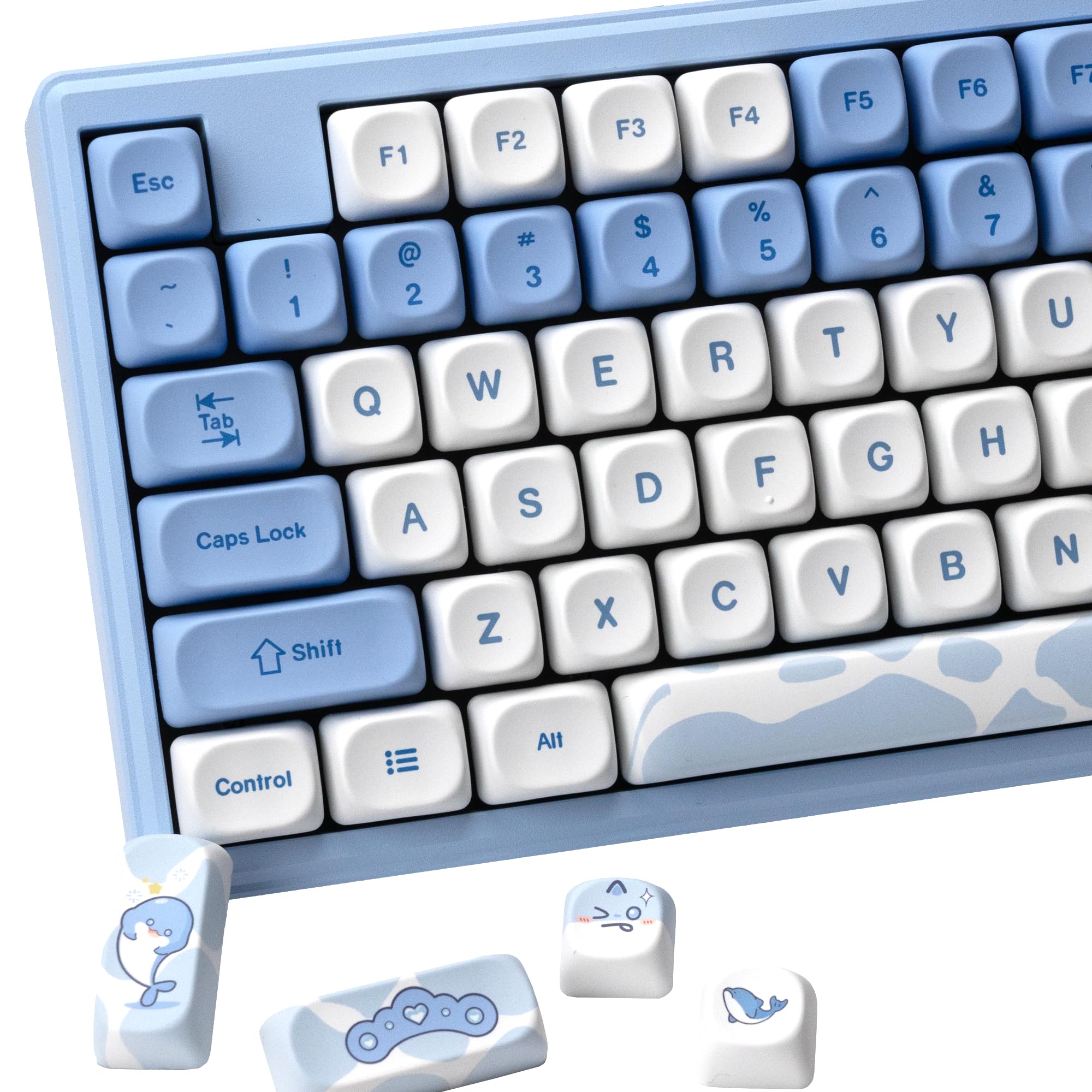 Mua Cute Blue Keycaps, XVX 145 Keys Dolphin Theme PBT Dye-Sublimation ...