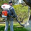 CARDINAL 3.5 Gallon Backpack Mosquito Fogger 3-in-1 ULV Sprayer Leaf ...