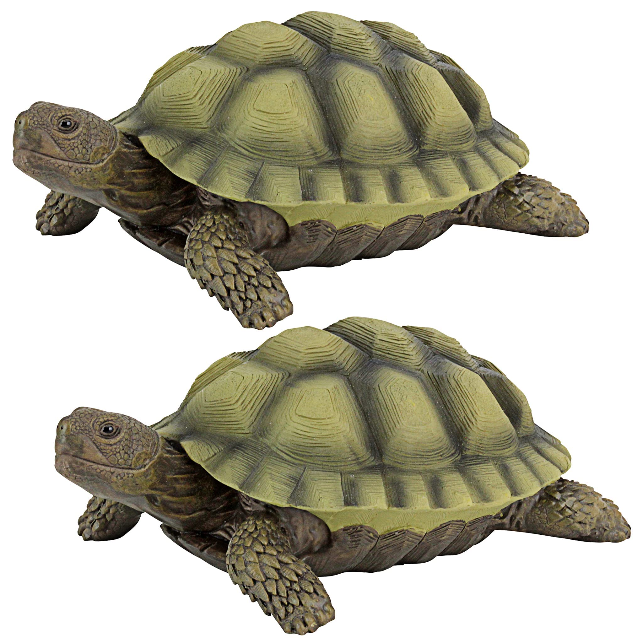 Mua Design Toscano Gilbert the Box Turtle Indoor/Outdoor Garden Decor ...