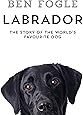 Labrador: The Story of the World's Favourite Dog: Amazon.co.uk: Ben ...