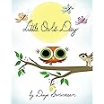 Little Owl's Night: Srinivasan, Divya: 8601421639897: Amazon.com: Books
