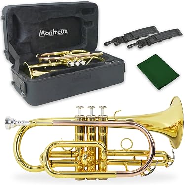 Cornet Ed88t Tromba Pro Plastic Trombone, Red Plastic Bb