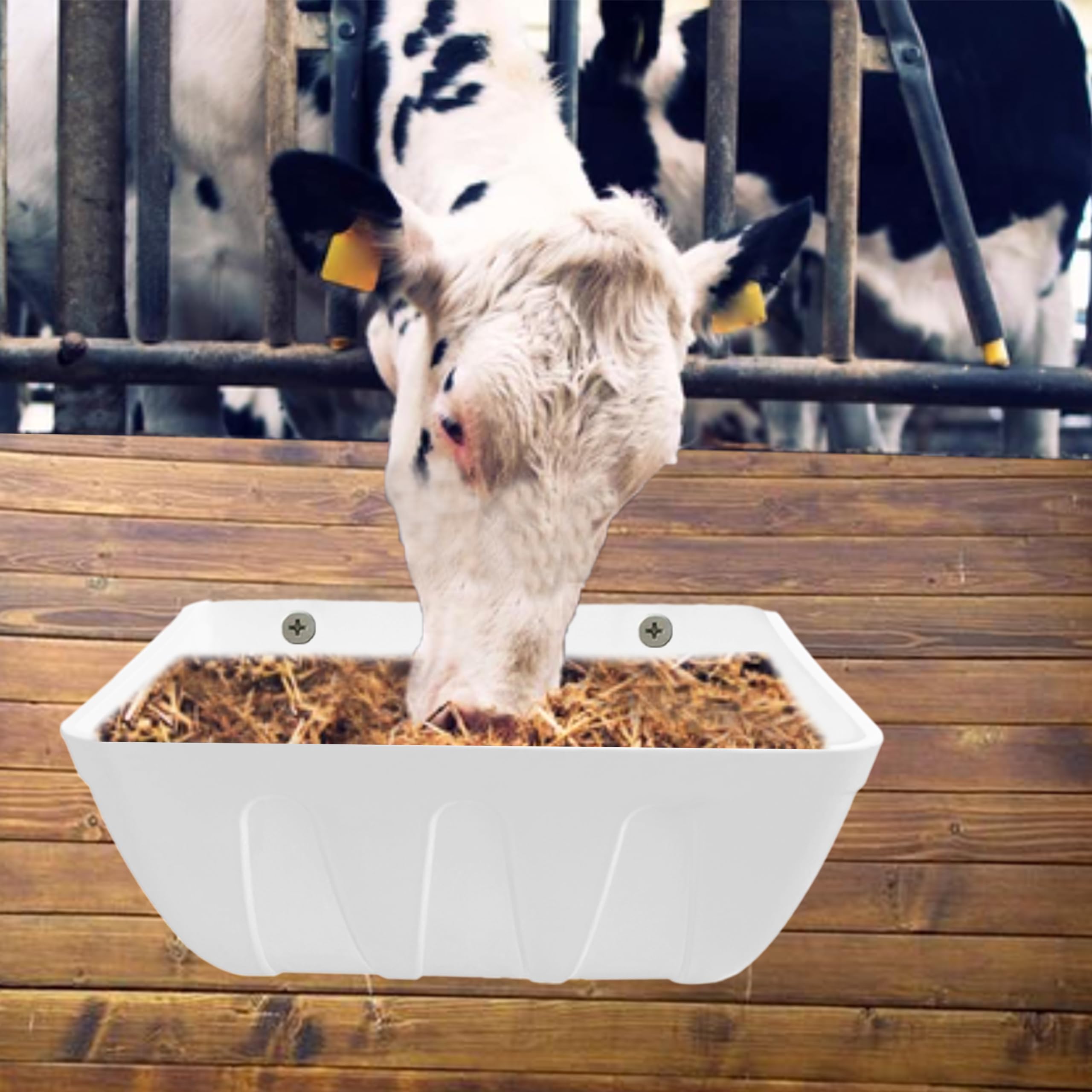 Mua Miveryea Hanging Chicken Feeder, Fence Feeder Trough with Clips for ...