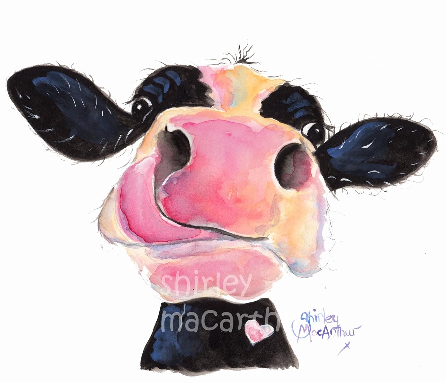 Shirley MacArthur CoW PRiNT LaRGe BoX CaNVaS WaLL ART, CoW GiFTS, CoW ...