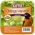 Amazon.com: Kaytee Orange Harvest Suet Dough : Patio, Lawn & Garden