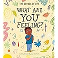 What Are You Feeling?: A picture book of your emotions: School of Life ...