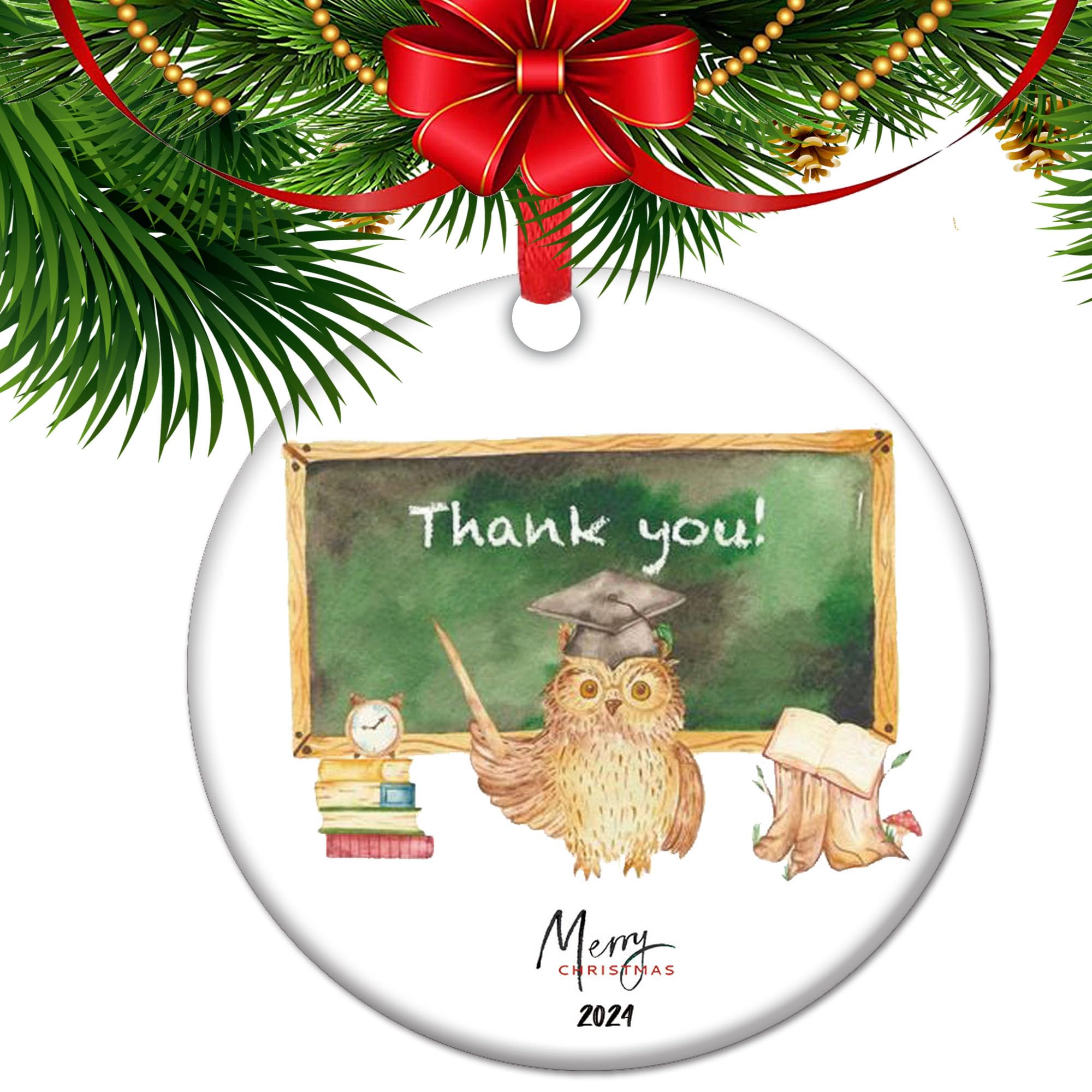 Wise Owl Thank You Teacher Gift, End of Year Gift from Student, 2024 ...