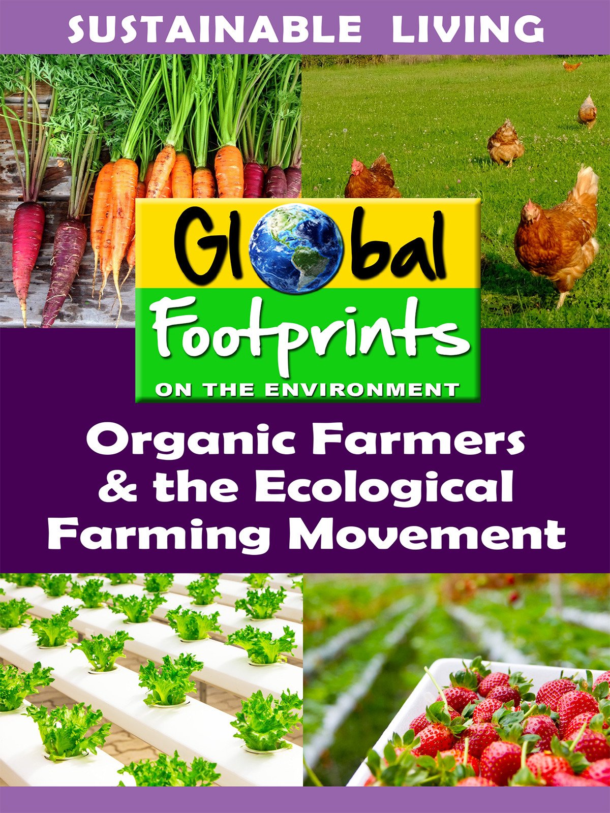 Watch Global Footprints - Organic Farmers & The Ecological Farming ...