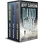 Amazon.com: The David Wolf Mystery Thriller Series: Books 1-4 (The ...