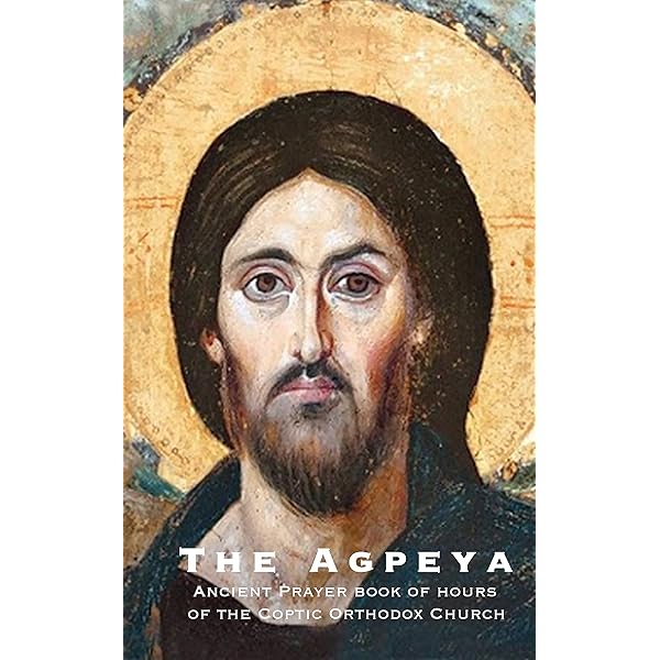 Paul Samaan's Instagram, Twitter & Facebook on IDCrawl