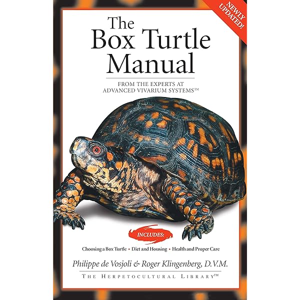 Baby Box Turtle Care