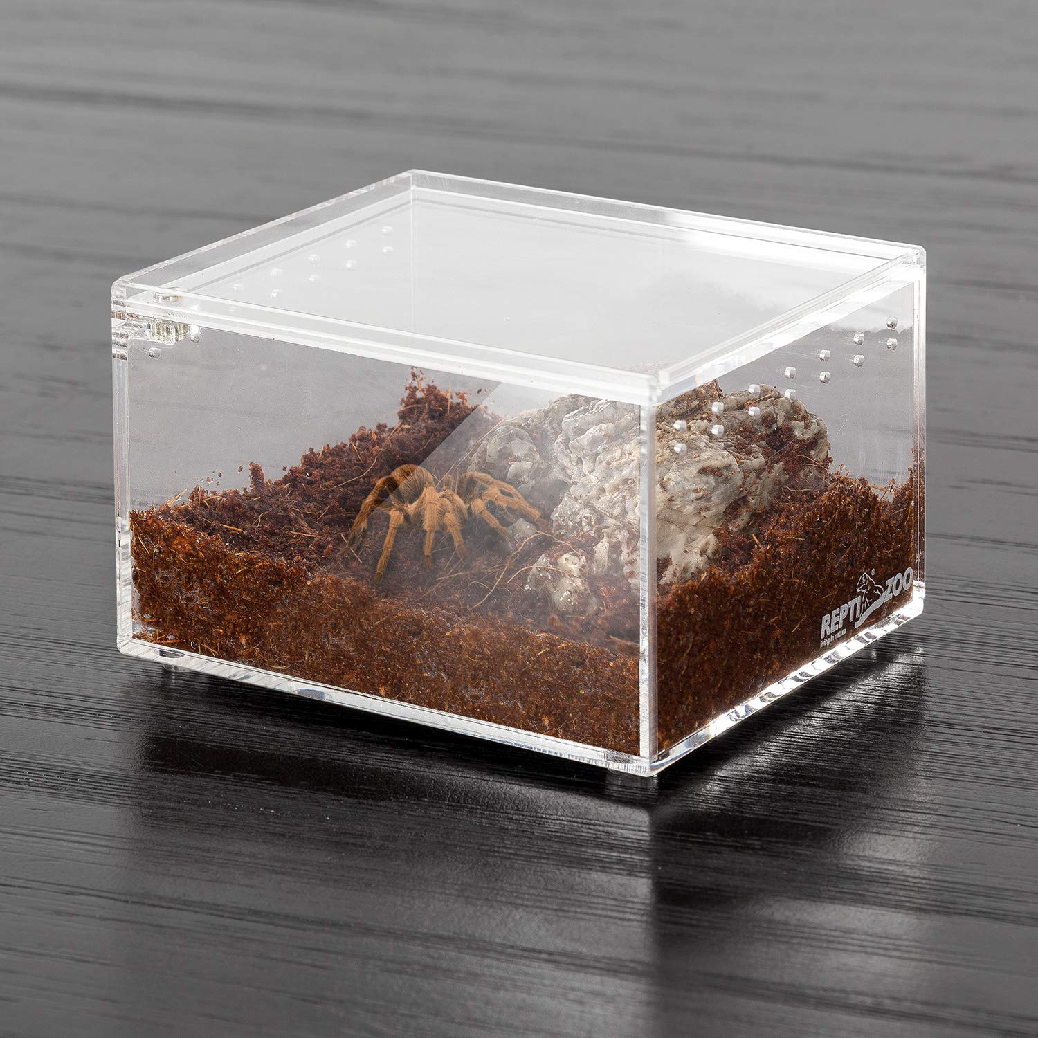 Mua REPTI ZOO Magnetic Acrylic Case 4.1"x3.3"x2.5" Nano Enclosure ...