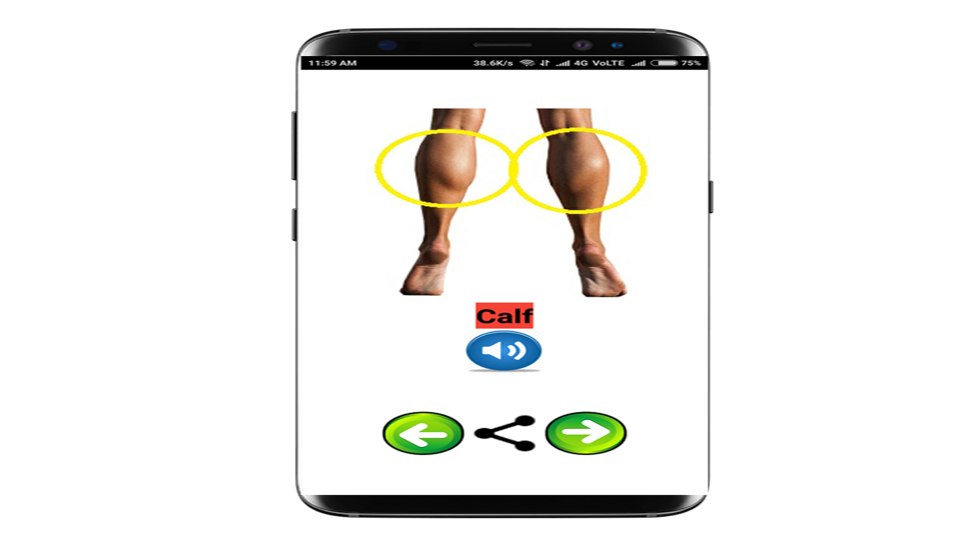human-body-parts-for-kids-amazon-co-jp-appstore-for-android