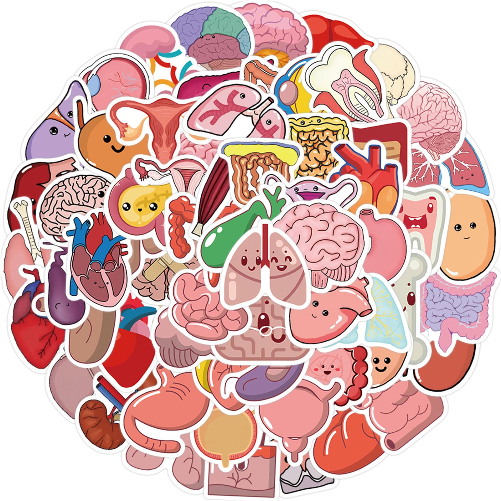 Mua 50Pcs Anatomy Stickers, Human Anatomy Decals Organs Stickers Pack ...