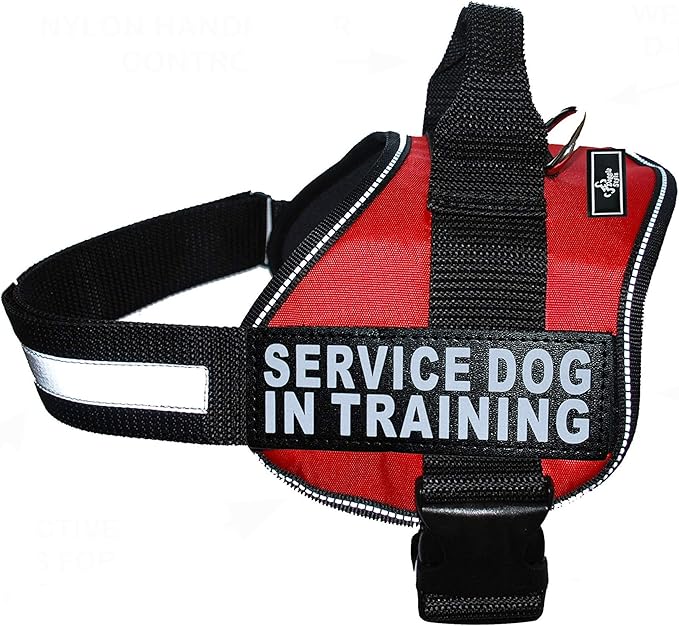 How Do You Put On A Service Dog Vest Martinez Boused