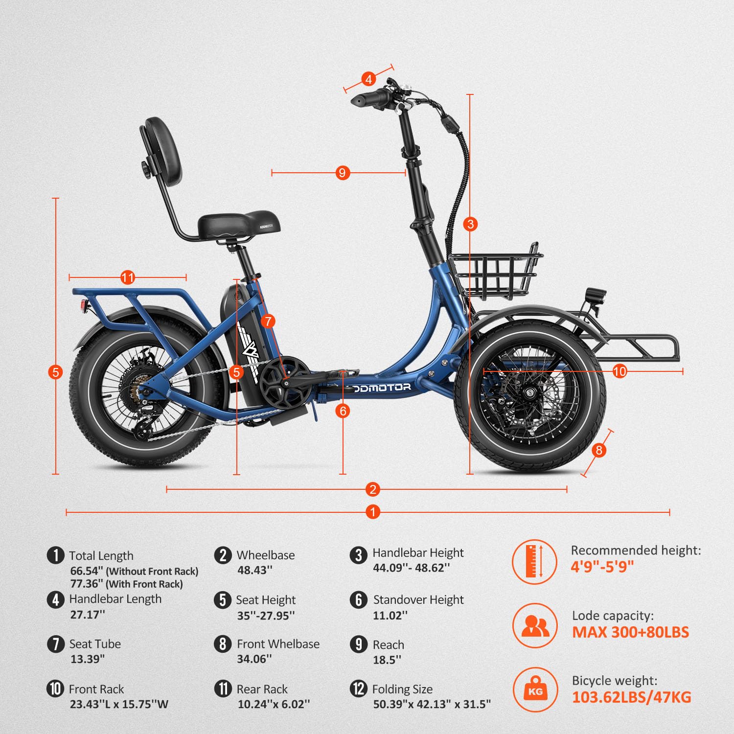 Adult Tricycle Electric Motor