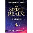 The Spirit Realm: The Place We Work with God in Prayer: Cameneti, Patsy ...