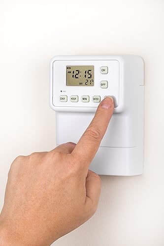 CLIPSAL E319 PNEUMATIC TIMER DELAY SWITCH Electric Light 10amp Energy ...