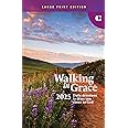 Walking in Grace 2025 Large Print: Daily Devotions to Draw You Closer to God: Guideposts ...