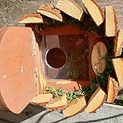 Natures market Squirrel Hotel: Amazon.co.uk: Garden & Outdoors