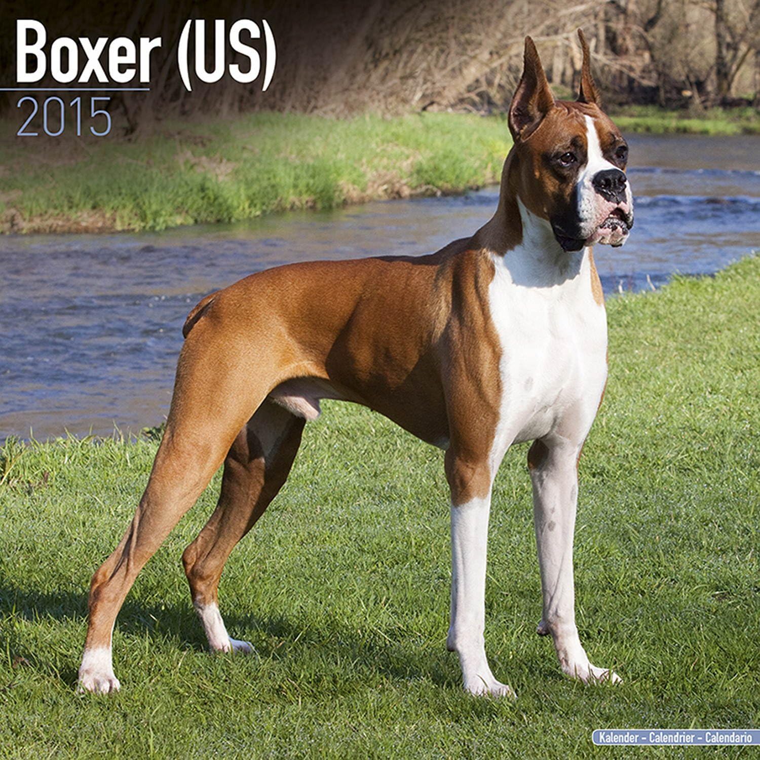 Boxer (US) Calendar - Breed Specific Boxer (US) Calendar - 2015 Wall ...
