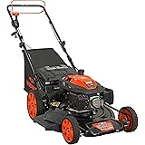 YARDMAX 22 in. 201cc Select PACE 6 Speed CVT High Wheel FWD 3-in-1 Gas ...