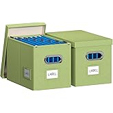 Amazon.com: DYWMM Hanging File Box with Lid, Set of 2 Filing Organizer ...