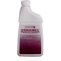 Amazon.com : Gordon's Ornamec 170 Grass Herbicide, 32 Ounces : Patio ...