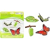 Amazon.com: Safari Ltd. Life Cycle of a Luna Moth - Realistic ...