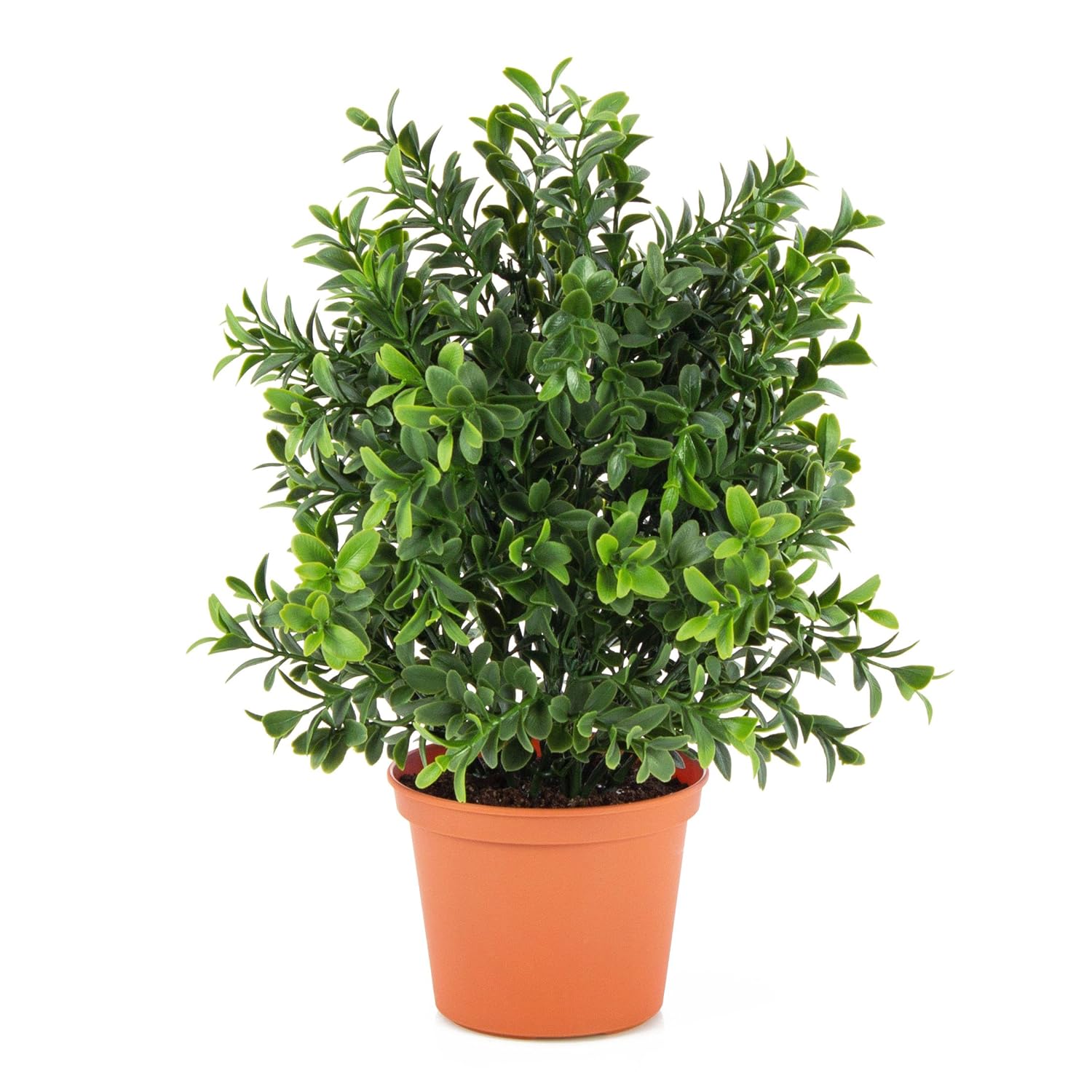 Decorazioni per interni 30 cm Cespuglio Decorativo/Cespuglio ...