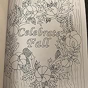 Amazon.com: The Colors of Fall: Autumn Coloring Book for Adults and ...