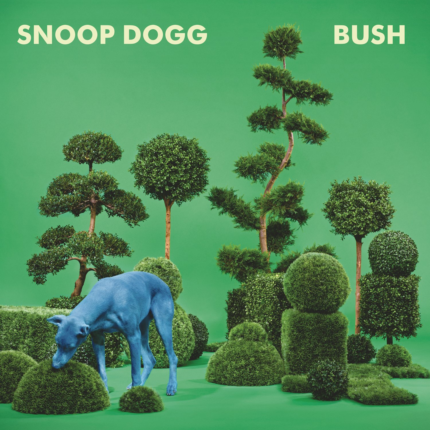 Bush [VINYL]: Amazon.co.uk: Music