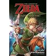 Amazon.com: The Legend of Zelda: Twilight Princess, Vol. 4 (4 ...