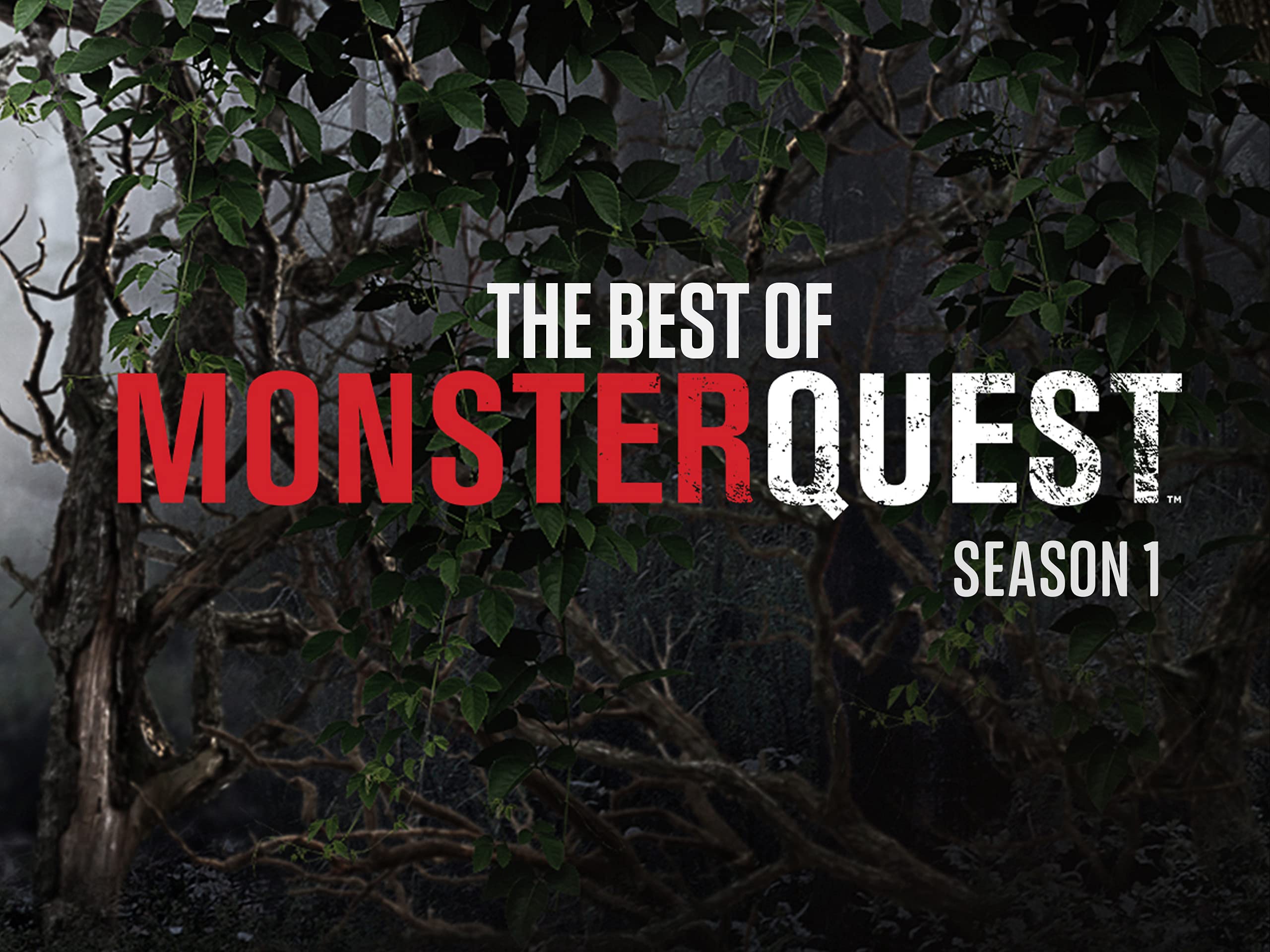 Watch The Best Of MonsterQuest S1 | Prime Video