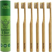 Amazon.com : Gaia Guy Natural Bristle Bamboo Toothbrush (NO Nylon ...
