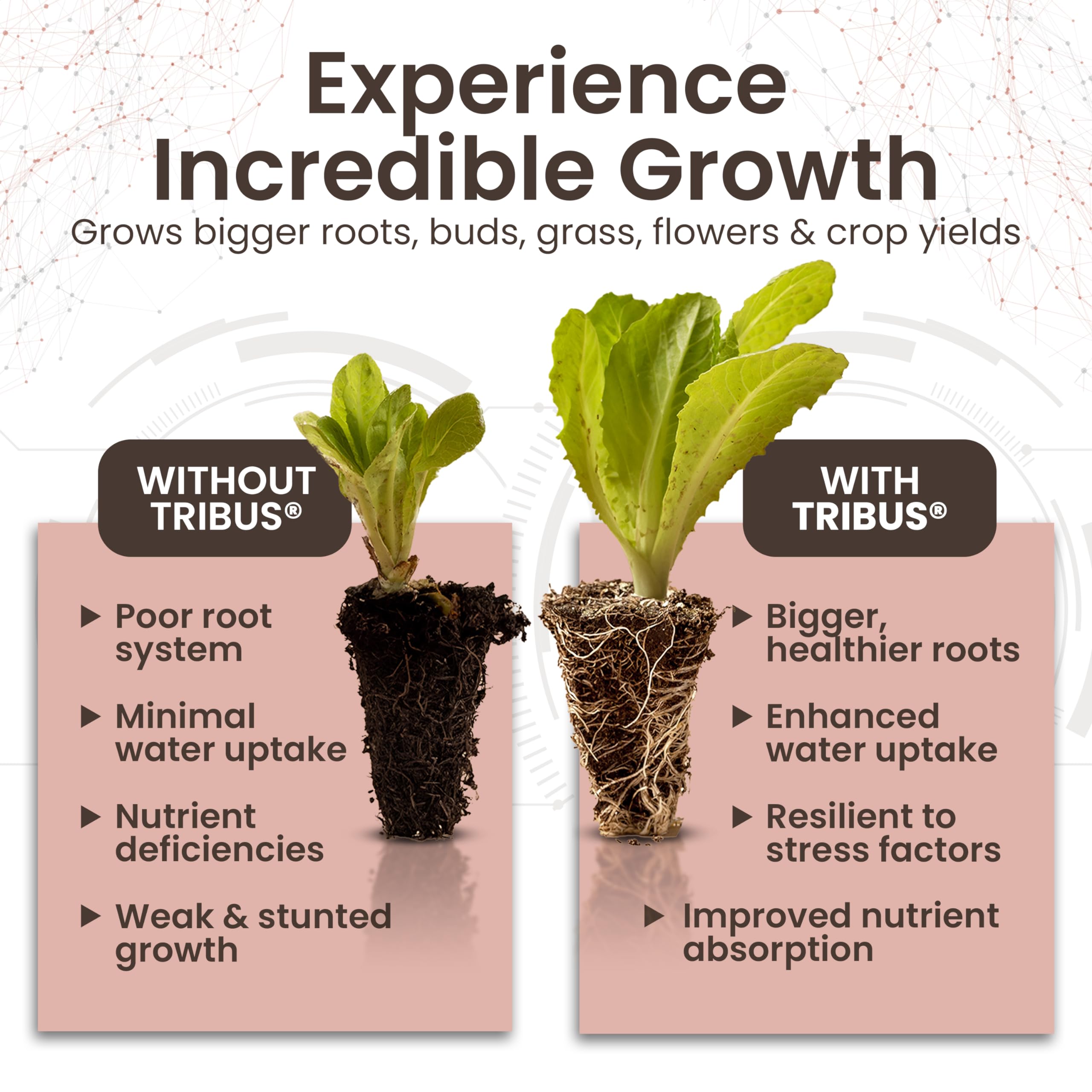 Mua Tribus Organic Microbial Inoculant – Root Booster for Plants ...