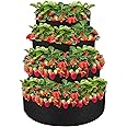 Amazon.com : BOUTICOL 4 Tiered Fabric Strawberry Planter Strawberry Tower Planter Stackable ...