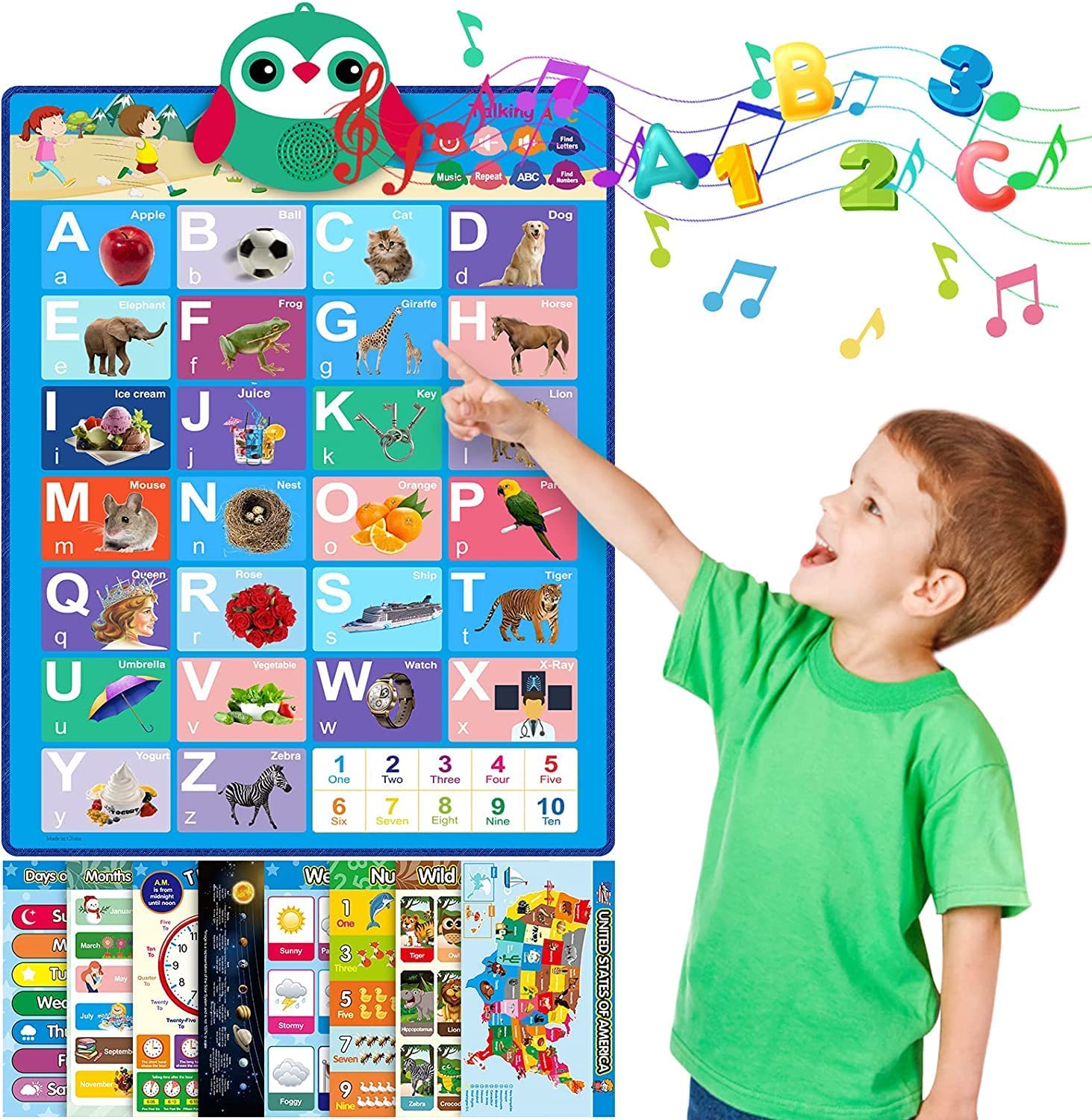 Interactive Charts Oman | Buy Online | Whizz Others