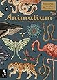 Botanicum (Welcome To The Museum): Amazon.co.uk: Kathy Willis, Katie ...