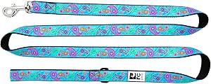 Amazon.com : RC Pets 3/4" x 6 ft Dog Leash, Tropical Paisley : Dog ...