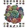 Amazon.com: Crafthub Flowers Wooden Puzzles for Adults – A3 Mandala Succulent Plants with 152 ...